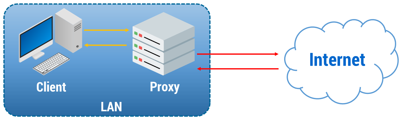 Cos'è un Server Proxy? Scopriamo la differenza tra Forward e Reverse Proxy